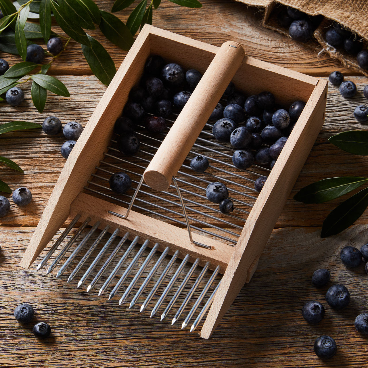 Huckleberry Comb Berry Harvester | Garrett Wade